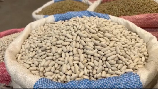 Fasulja 'kap' çmim rekord/ Nuk do ta besoni sa kushton 1 kg - ATDHEU LAJM