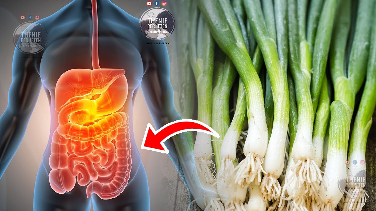 “Mjeku ma tregoi këtë sekret”: Qepa e njome është plot me vitamina dhe ...